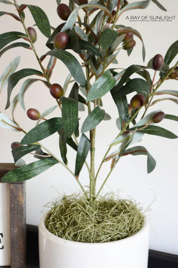 DIY Faux Olive Tree Plant - How to