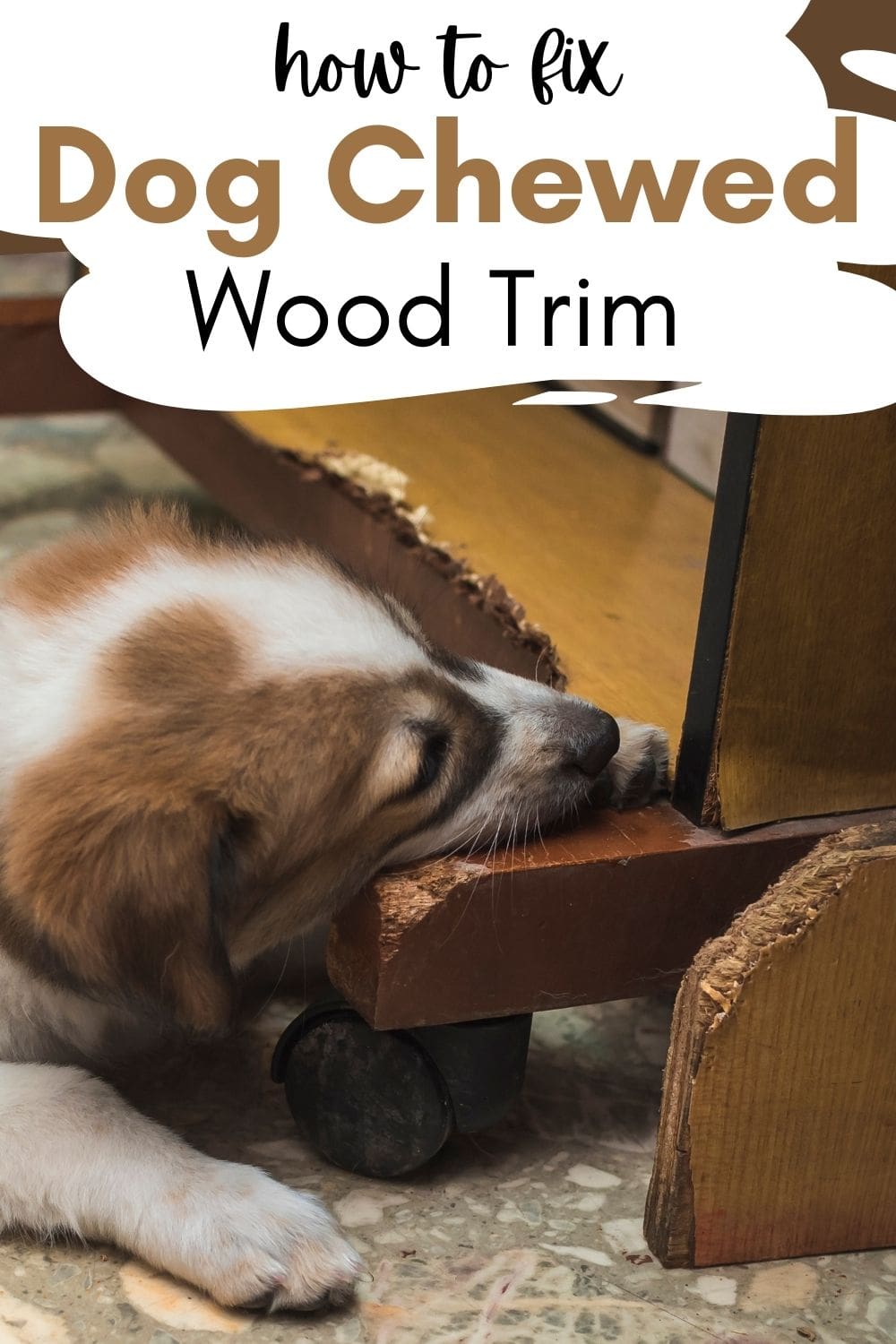 How To Fix Dog Chewed Wood Trim