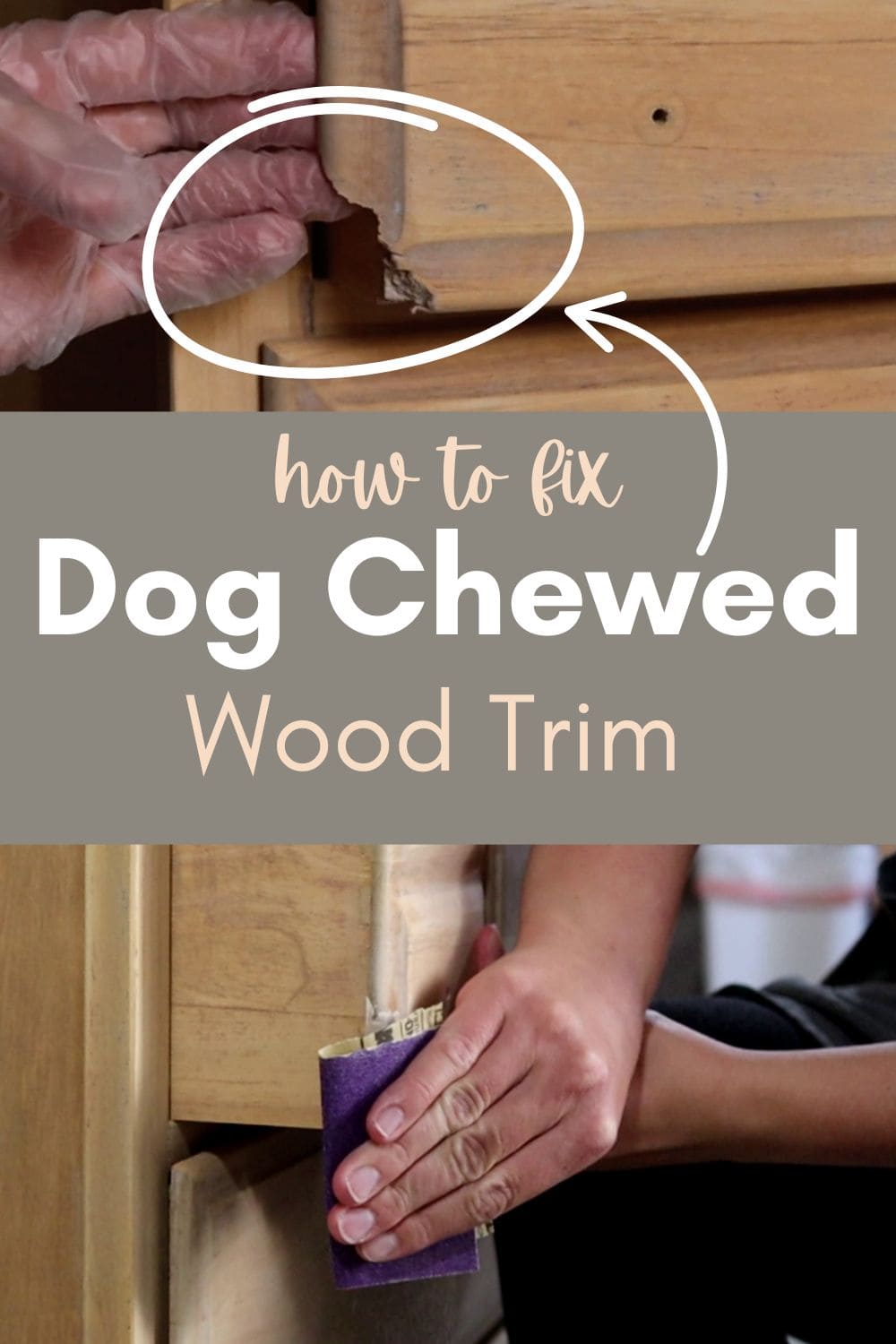 How To Fix Dog Chewed Wood Trim