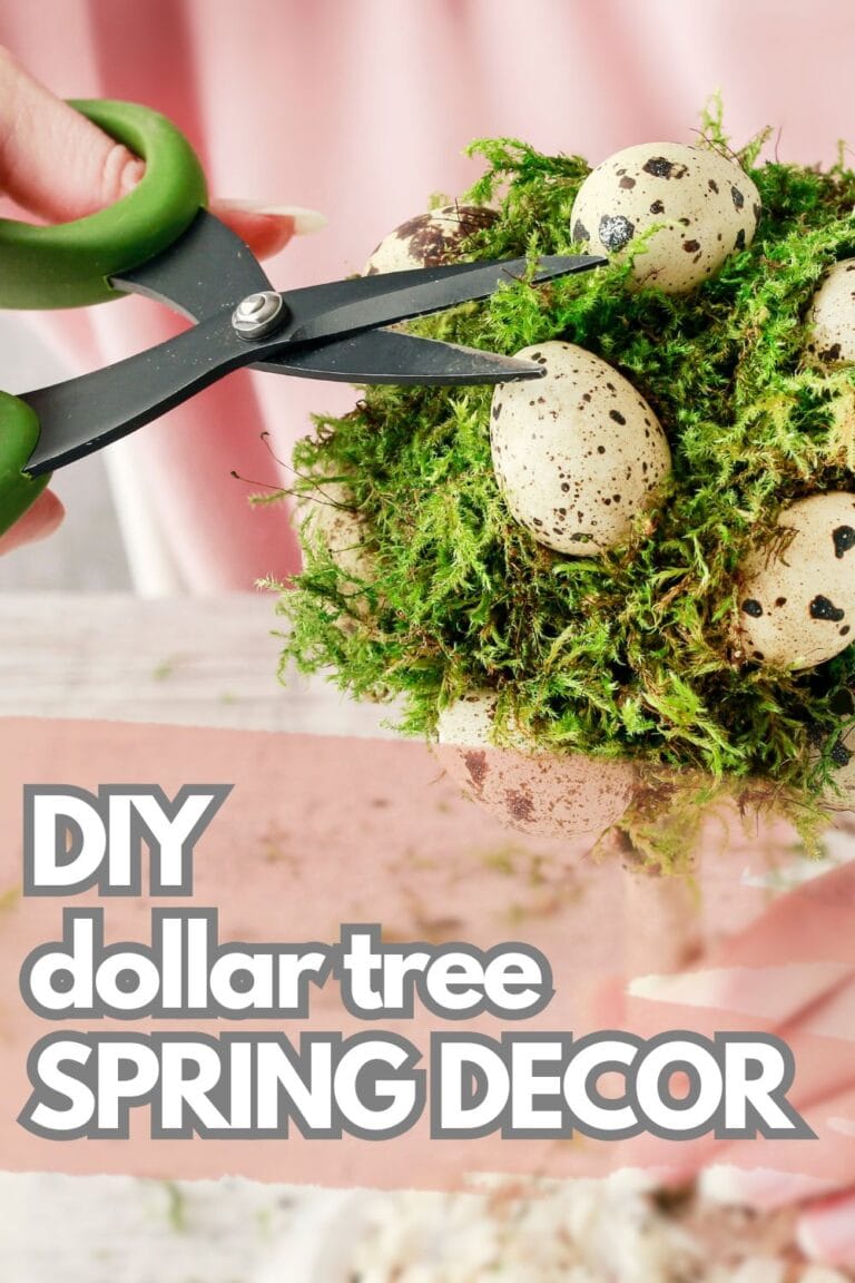 DIY Dollar Tree Spring Decor